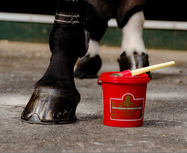 Hoof Dressing | Kevin Bacon's